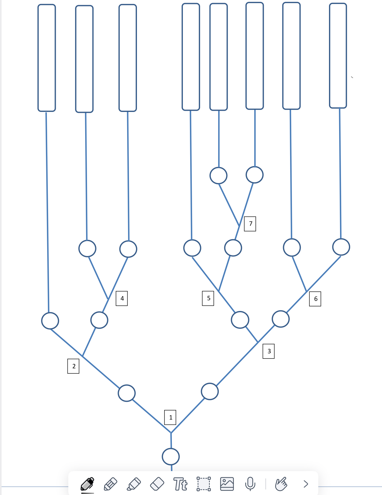Solved Species and Shared Derived Characteristics: Use only | Chegg.com