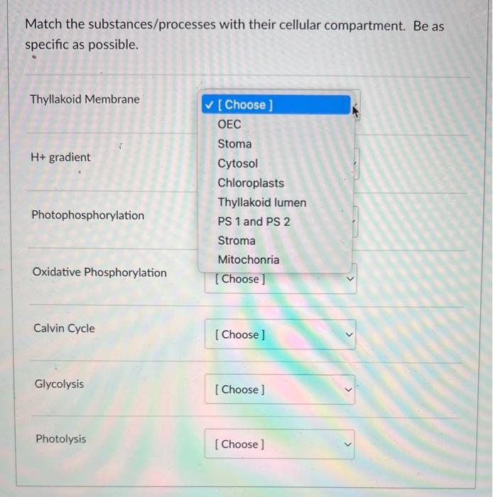 Solved Match the substances/processes with their cellular | Chegg.com