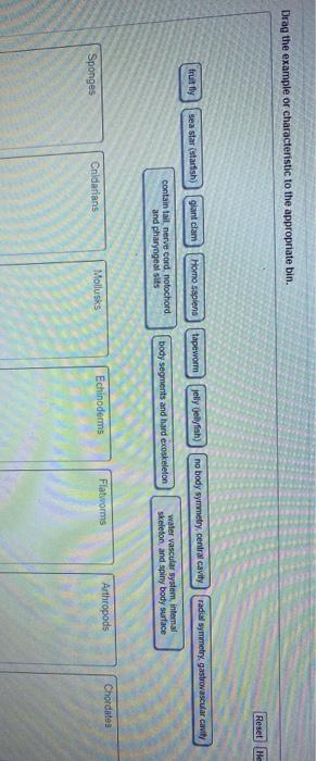 Solved Part A Drag the example or characteristic to the | Chegg.com