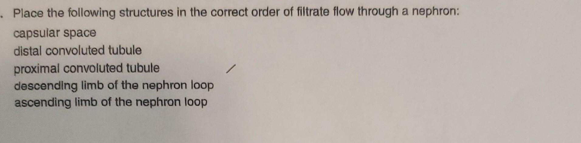 Solved Place the following structures in the correct order | Chegg.com