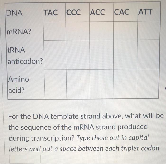 Solved DNA TAC CCC ACC CAC ATT mRNA? tRNA anticodon? Amino | Chegg.com