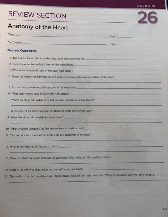 Solved EXERCISE REVIEW SECTION 26 Anatomy of the Heart Name | Chegg.com