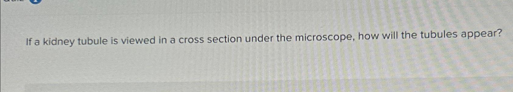 Solved If a kidney tubule is viewed in a cross section under | Chegg.com