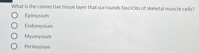 Solved What is the connective tissue layer that surrounds | Chegg.com