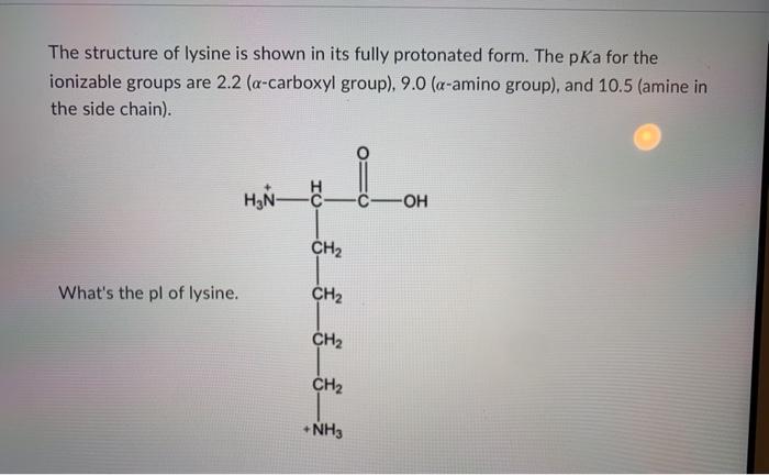 Solved The structure of lysine is shown in its fully | Chegg.com