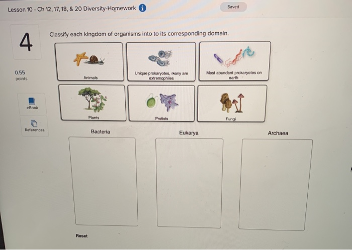 Solved Saved Lesson 10 - Ch 12, 17, 18, & 20 | Chegg.com