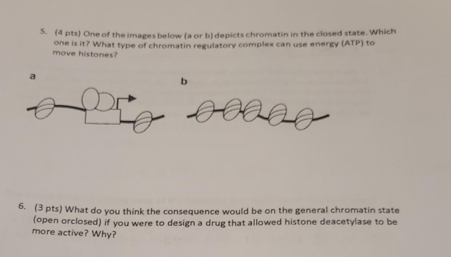 Solved 5. (4 pts) One of the images below (a or b) depicts | Chegg.com