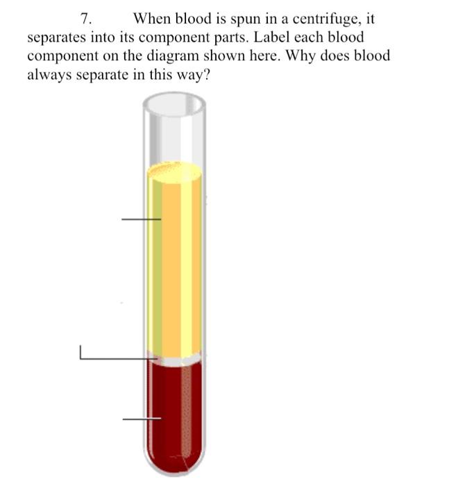 Solved 7. When blood is spun in a centrifuge, it separates | Chegg.com