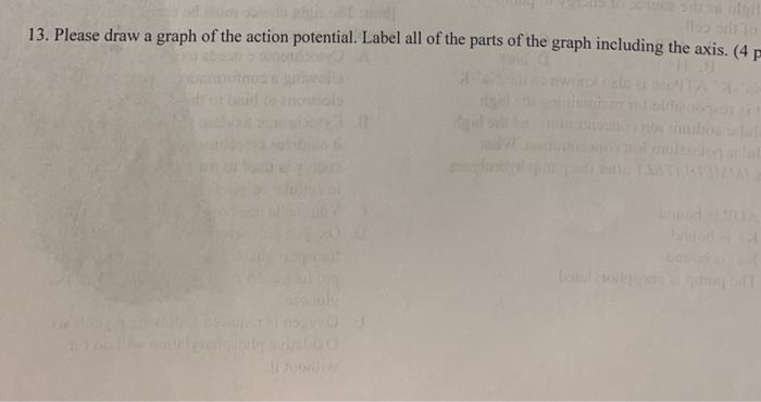 Solved 13. Please draw a graph of the action potential. | Chegg.com