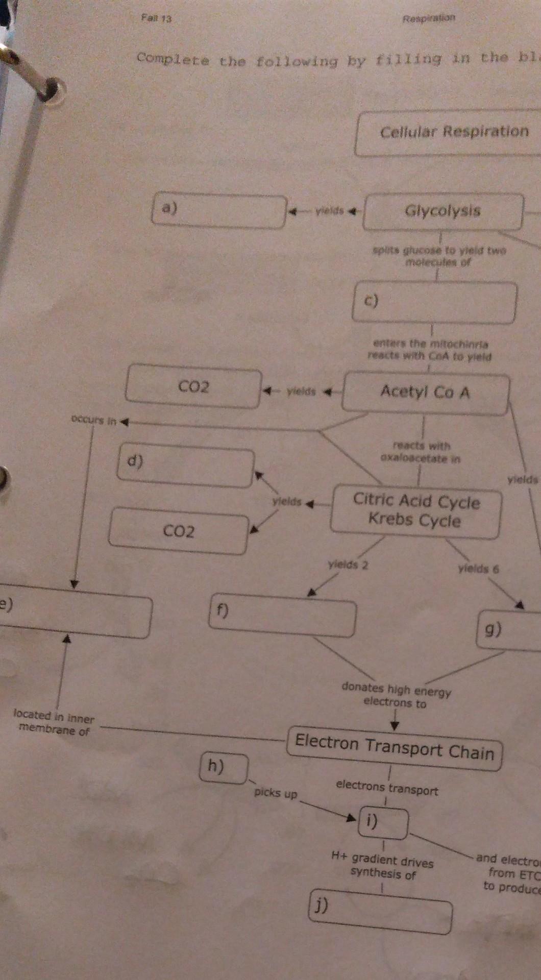 Solved Fail 13 Respiration Complete the following by filling | Chegg.com