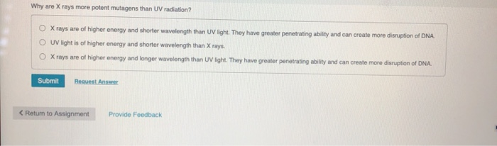Solved If a segment of DNA were replicated without any | Chegg.com