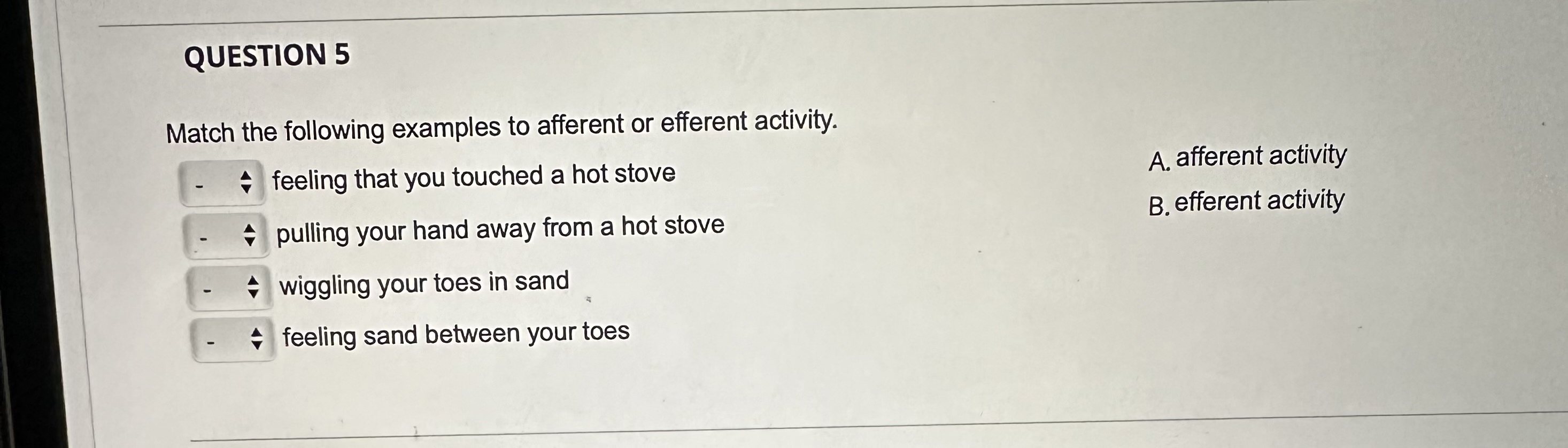 Solved QUESTION 5Match the following examples to afferent or | Chegg.com