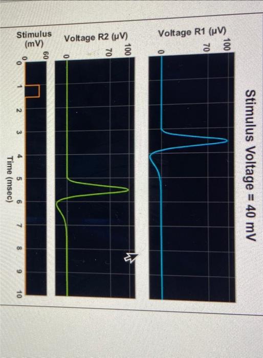 1) How did the action potential at R1 (or R2) change | Chegg.com