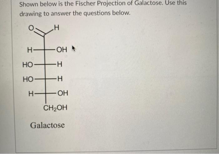 Solved Shown below is the Fischer Projection of Galactose. | Chegg.com
