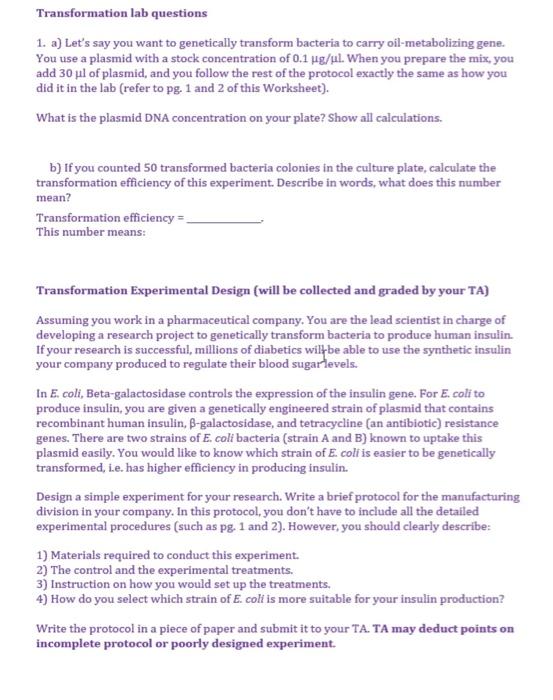 Transformation Efficiency Transformation efficiency | Chegg.com