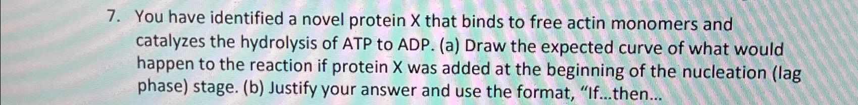 Solved You have identified a novel protein x ﻿that binds to | Chegg.com