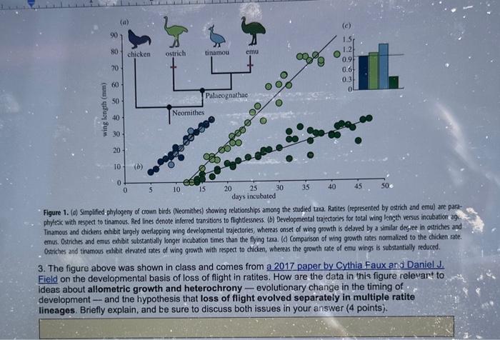 Solved Figure 1. (o) Simplified phylogeny of cown birds | Chegg.com