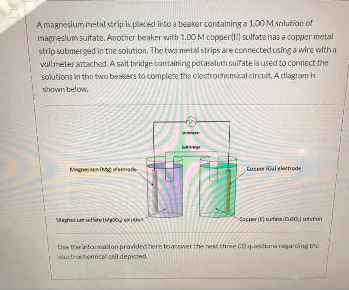 Solved A magnesium metal strip is placed into a beaker | Chegg.com