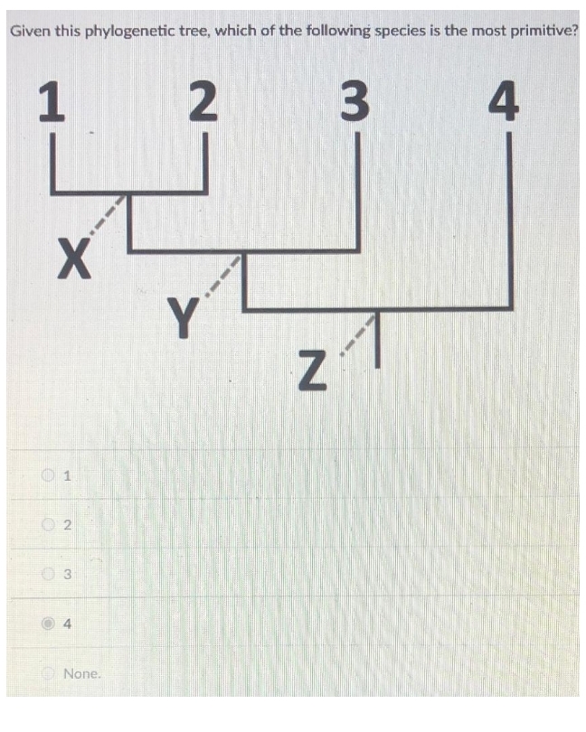 Solved Given this phylogenetic tree, which of the following | Chegg.com