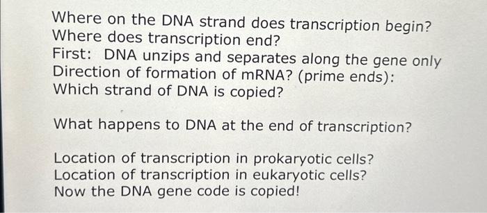 Solved Where on the DNA strand does transcription begin? | Chegg.com