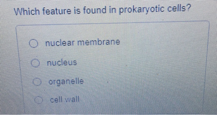 Solved Which feature is found in prokaryotic cells? o | Chegg.com