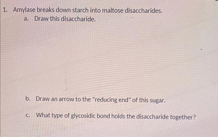 Solved 1. Amylase breaks down starch into maltose | Chegg.com