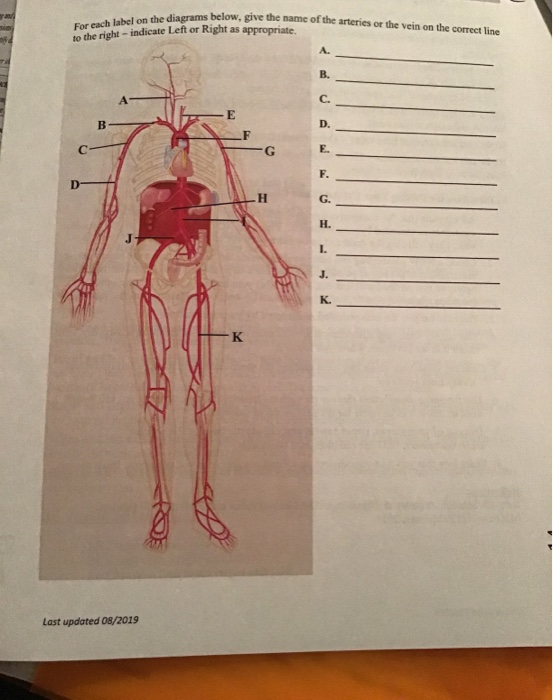 Solved diagrams below. give the name of the arteries or the | Chegg.com