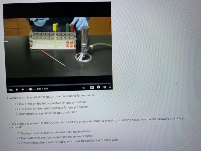 Required information Biochemical Testing: Phenol Red | Chegg.com