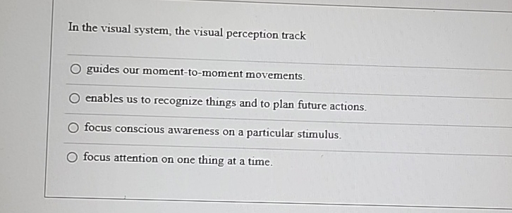 Solved In the visual system, the visual perception | Chegg.com