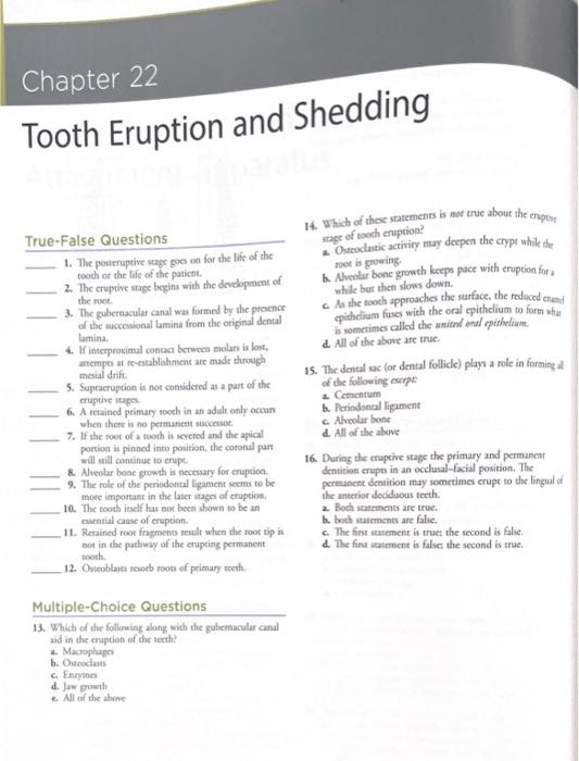 Solved True-False Questions 1. The posteruptive atage poo on | Chegg.com