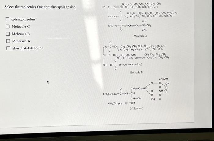 Solved Select the molecules that contains sphingosine. | Chegg.com