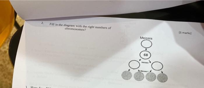 Solved 2. Fill in the diagram with the right numbers of | Chegg.com