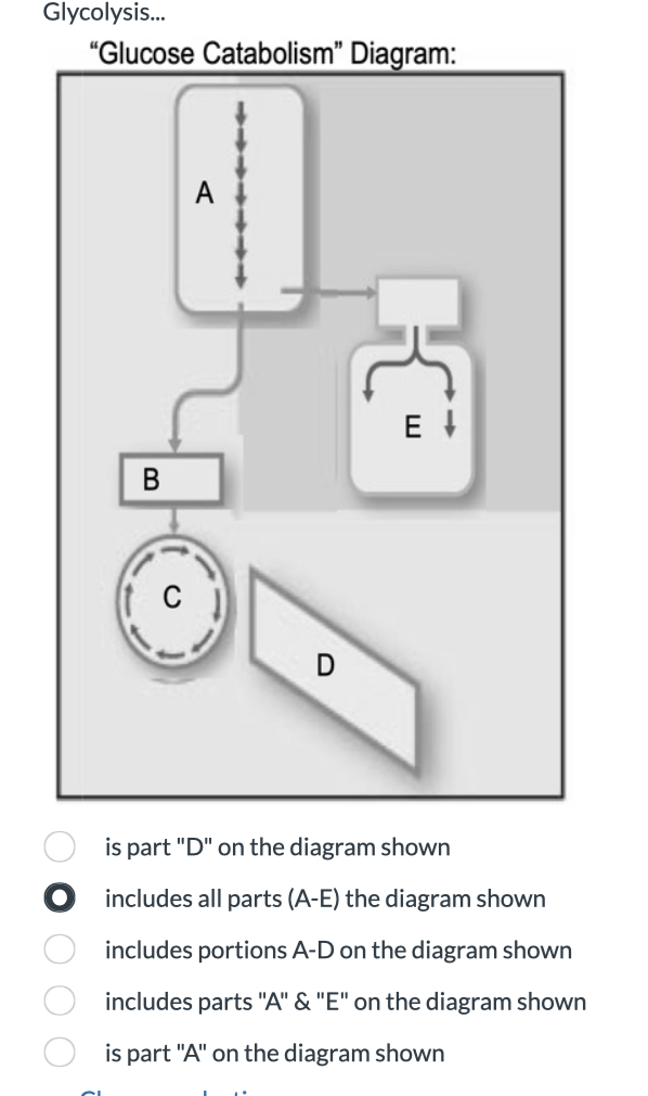 Solved Glycolysis..."Glucose Catabolism" Diagram:is part | Chegg.com