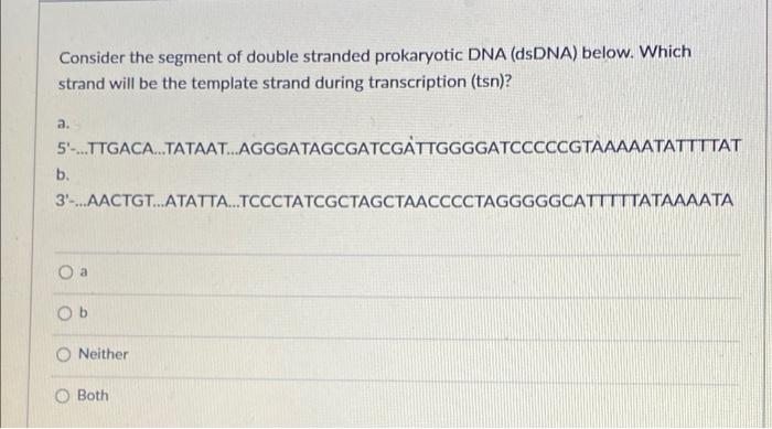 Solved Consider the segment of double stranded prokaryotic | Chegg.com