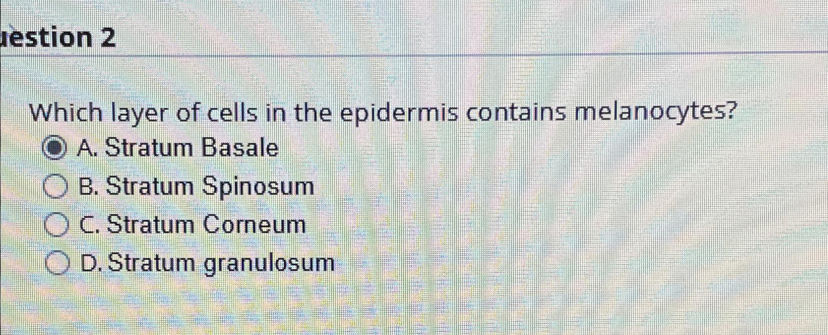 Solved lestion 2Which layer of cells in the epidermis | Chegg.com