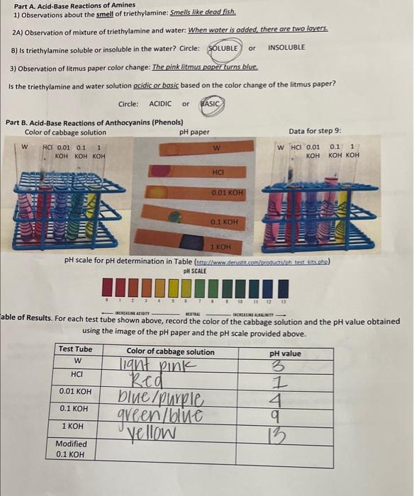 Solved Experiment 6 Post-Laboratory Report Rart A. Acid Base | Chegg.com
