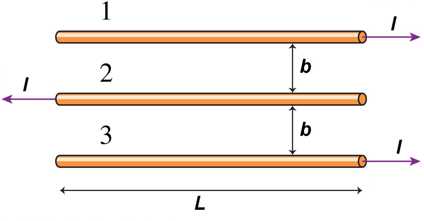 Solved What is the net force (magnitude) on first | Chegg.com