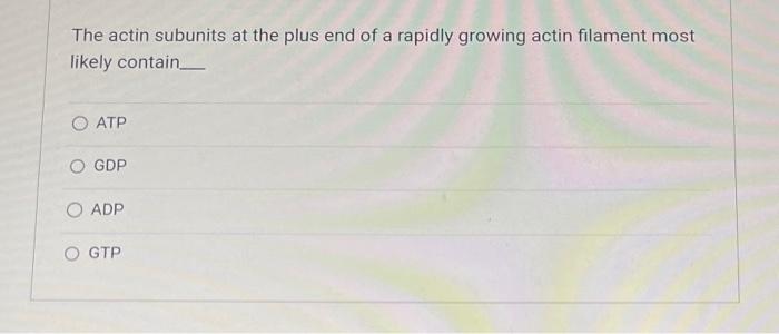Solved The actin subunits at the plus end of a rapidly | Chegg.com