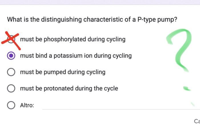 Solved What is the distinguishing characteristic of a P-type | Chegg.com