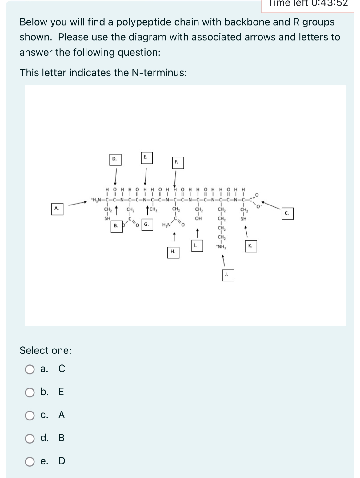 Solved Below you will find a polypeptide chain with backbone | Chegg.com