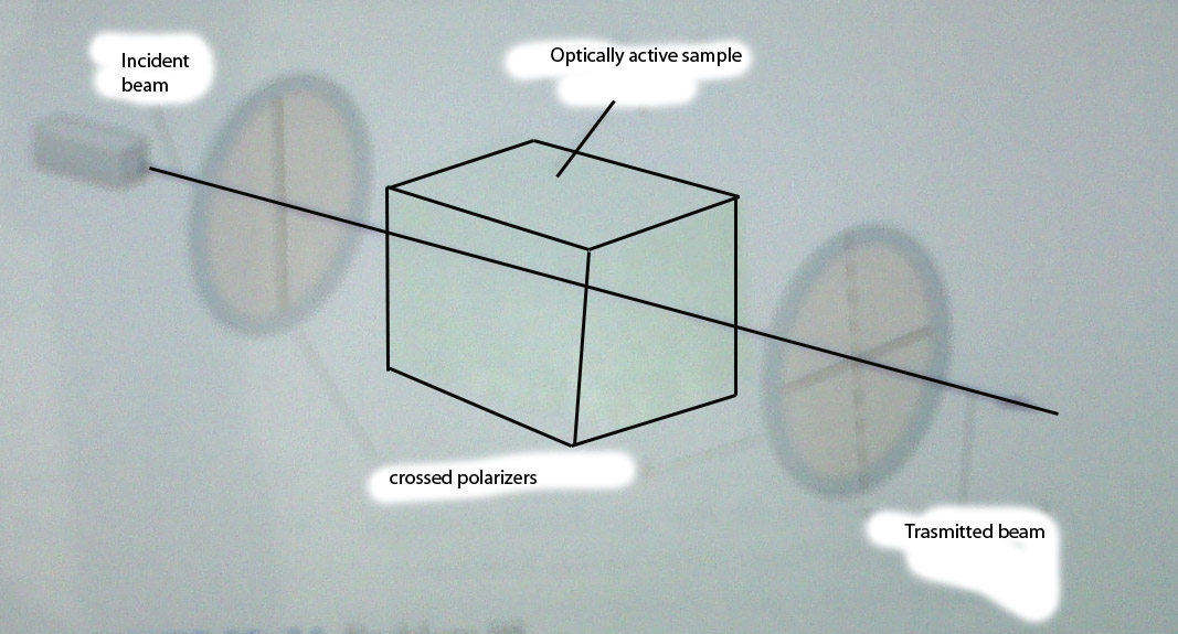 Solved Optical Activity of SugarThe intensity of light | Chegg.com