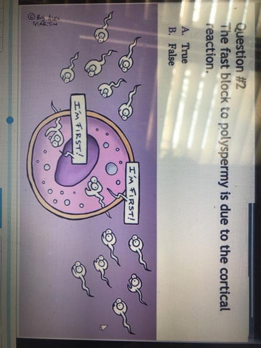 Solved Question #2 The fast block to polyspermy is due to | Chegg.com