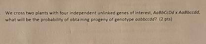 Solved We cross two plants with four independent unlinked | Chegg.com