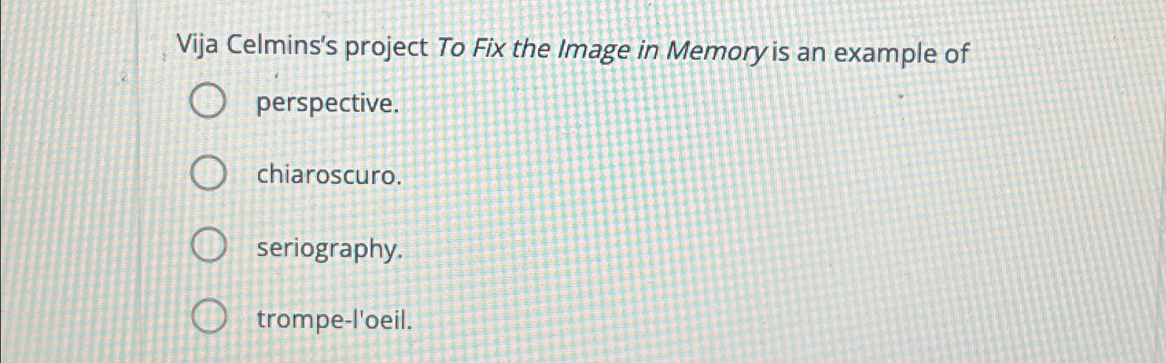 Solved Vija Celmins's project To Fix the Image in Memory is | Chegg.com