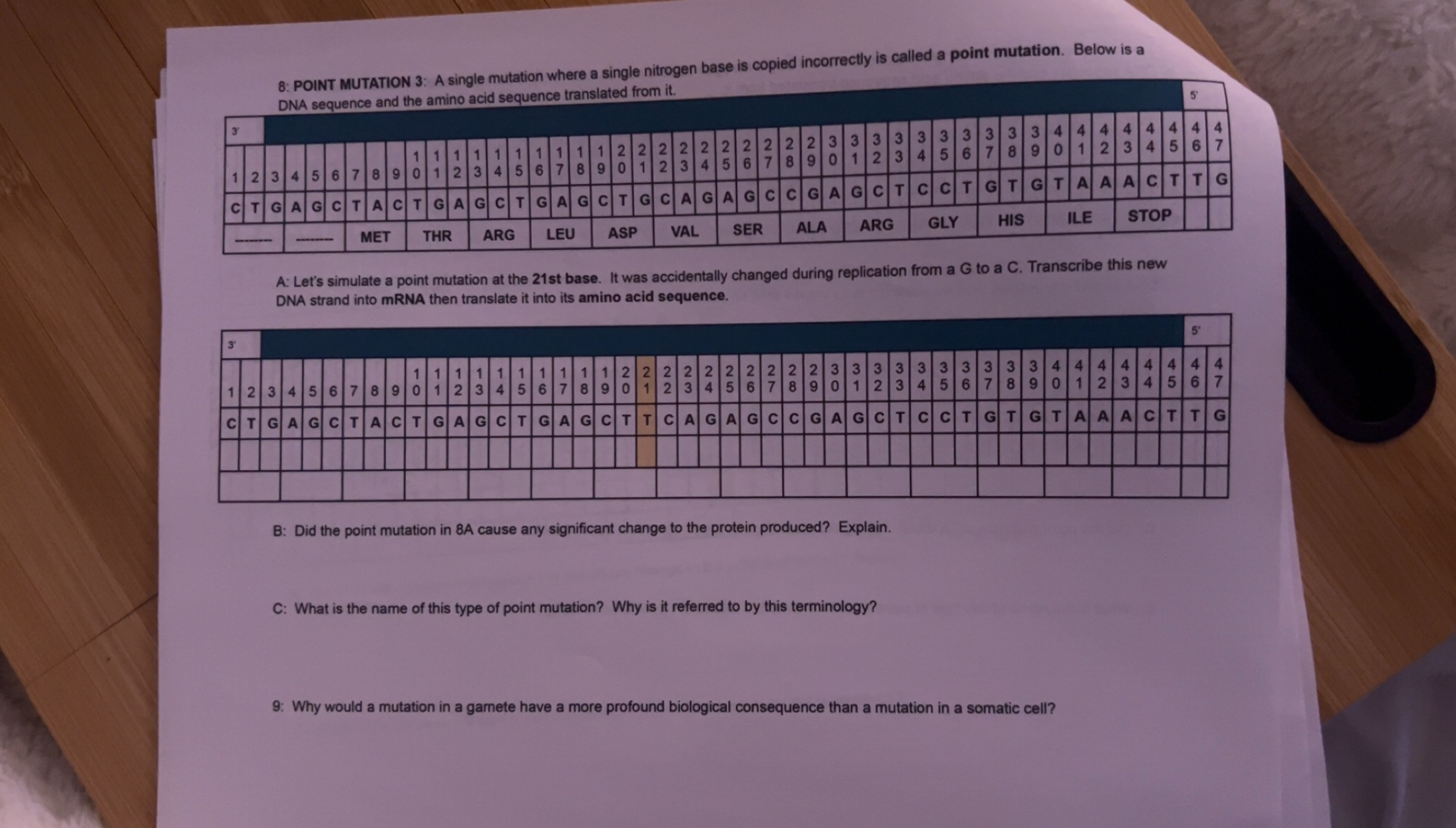 Solved 8: POINT MUTATION 3: A single mutation where a single | Chegg.com