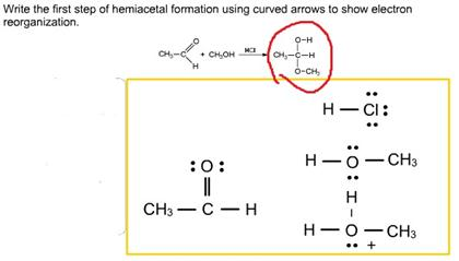 Solved Write the first step of hemiacetal formation using | Chegg.com