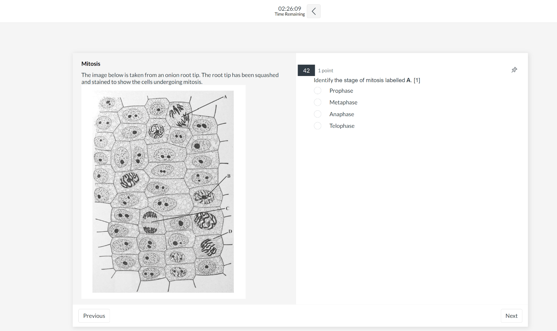 Solved DMD 383 points Duchenne muscular dystrophy (DMD) is a | Chegg.com