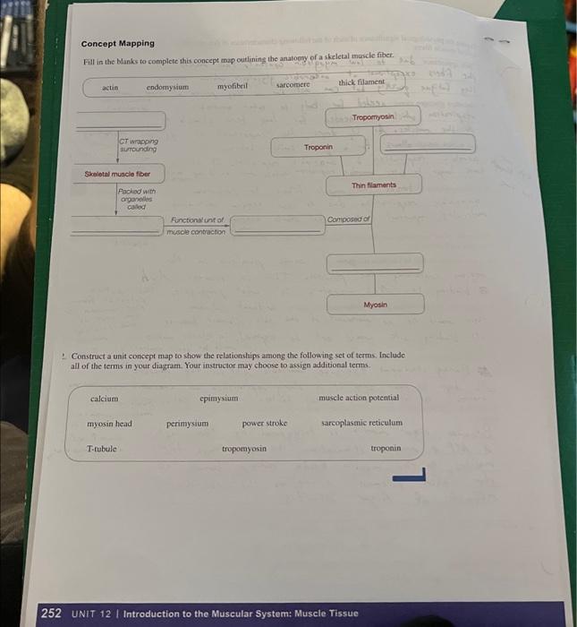 Solved Concept Mapping Fill in the blanks to complete this | Chegg.com