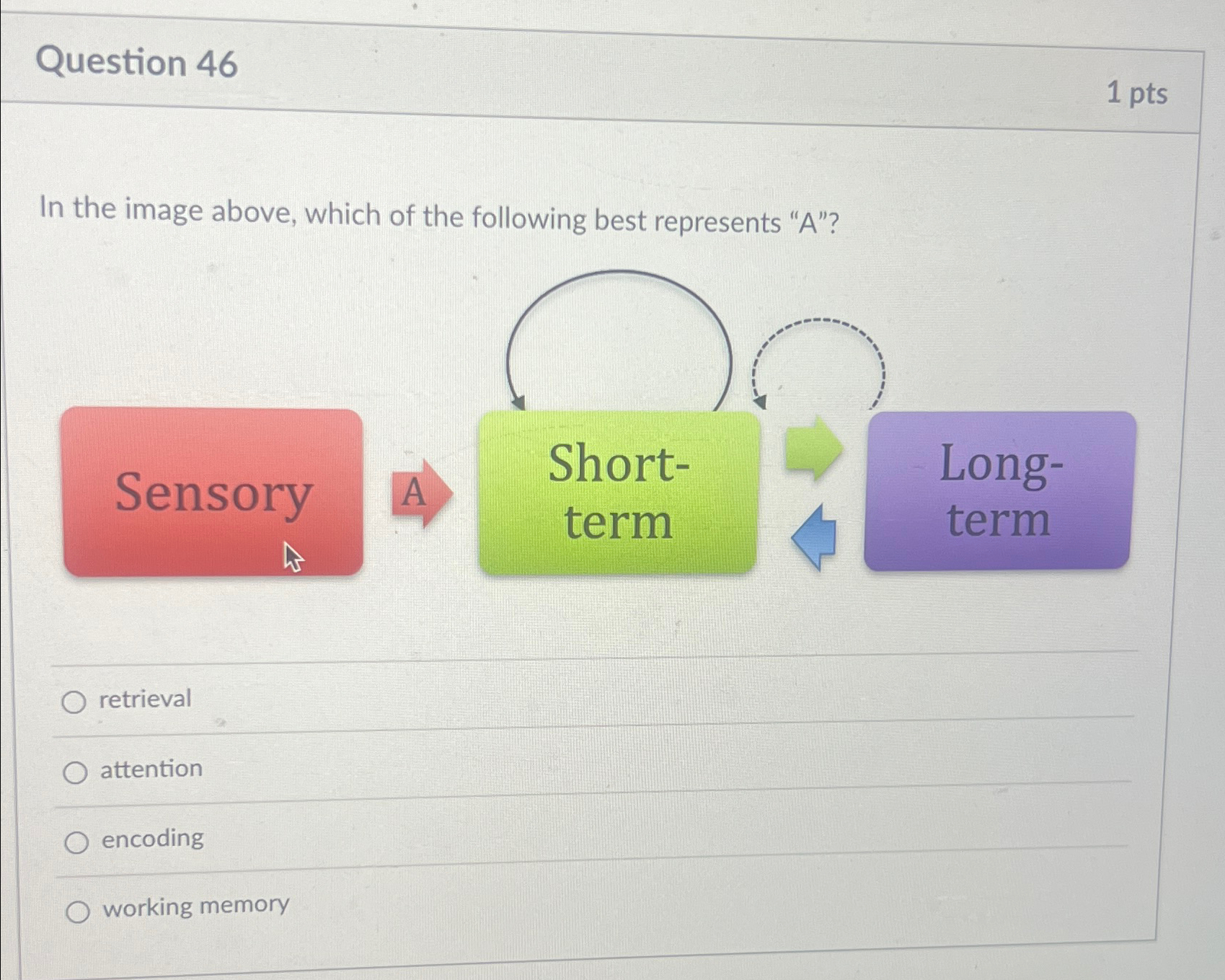 Solved Question 461ptsIn the image above, which of the | Chegg.com