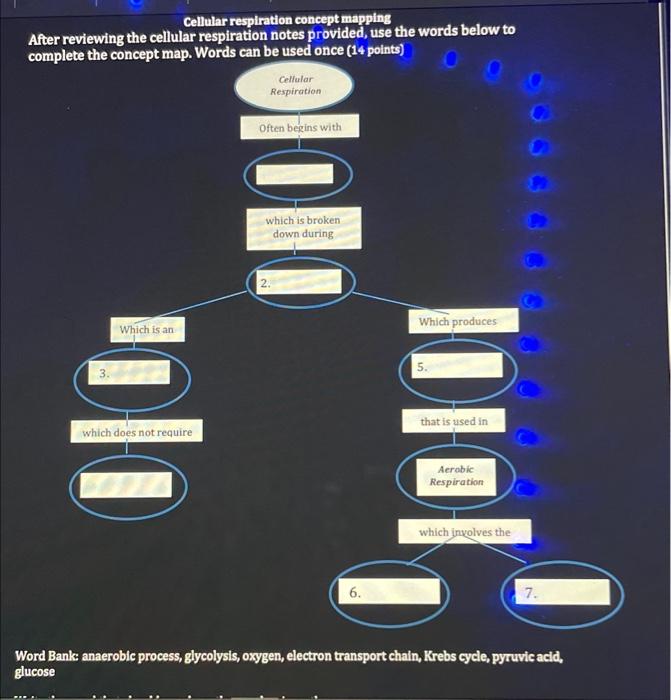 Solved Cellular respiration concept mapping After reviewing | Chegg.com